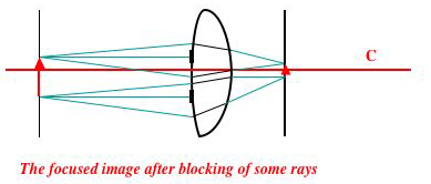 Basics of geometric lens optics